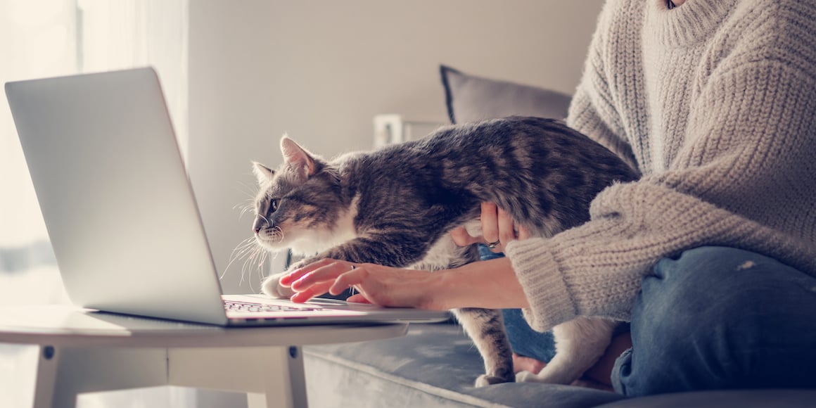 Tips on Adjusting to a Remote Work Environment | SmartBug Media®