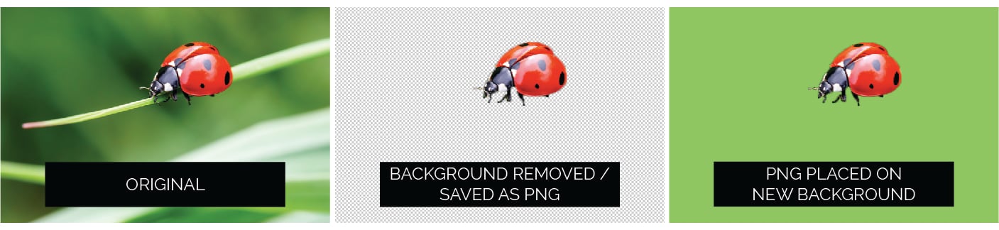 9 Standard File Formats and When to Use Them | SmartBug Media®