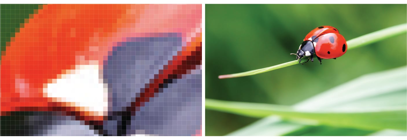 9 Standard File Formats and When to Use Them | SmartBug Media®