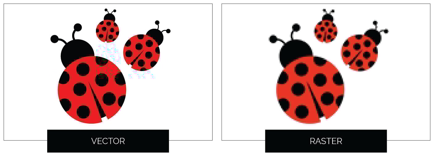 9 Standard File Formats and When to Use Them | SmartBug Media®