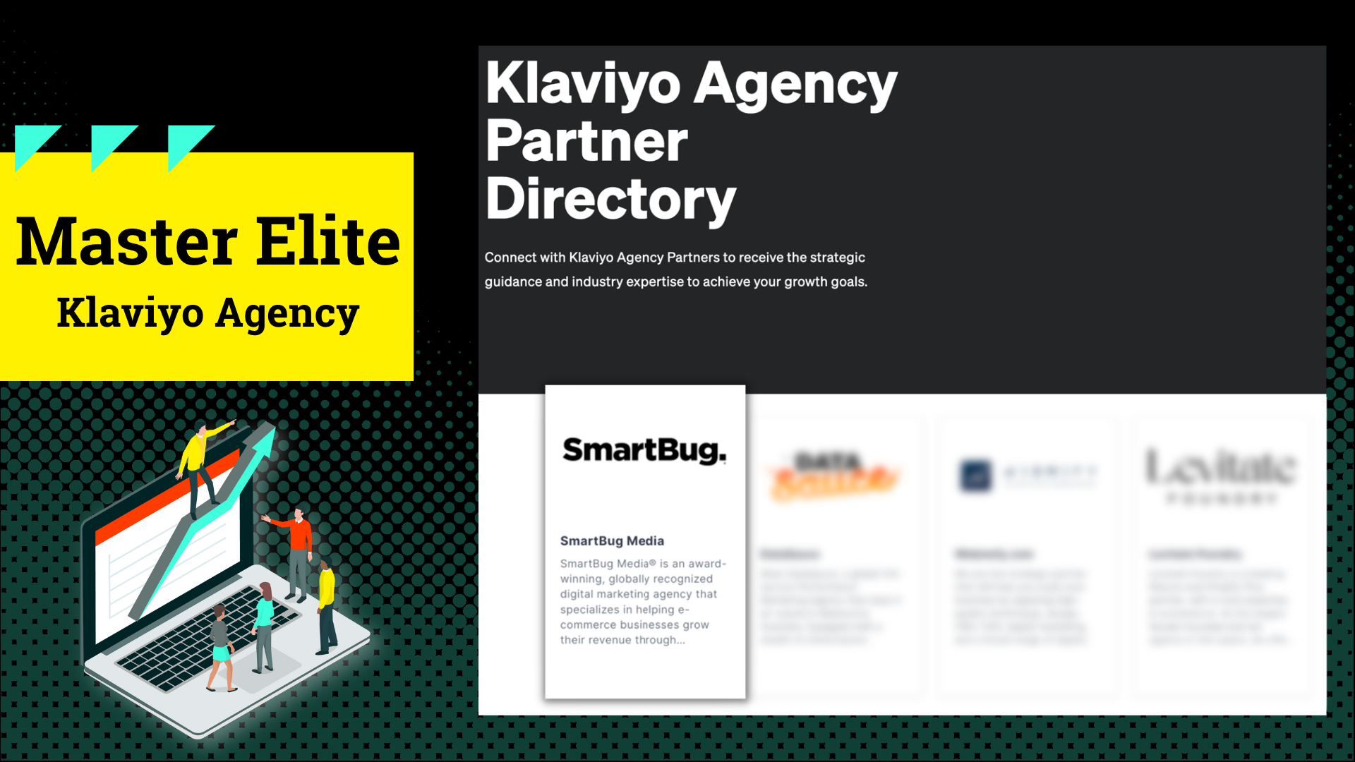 Klaviyo Master Elite Agency